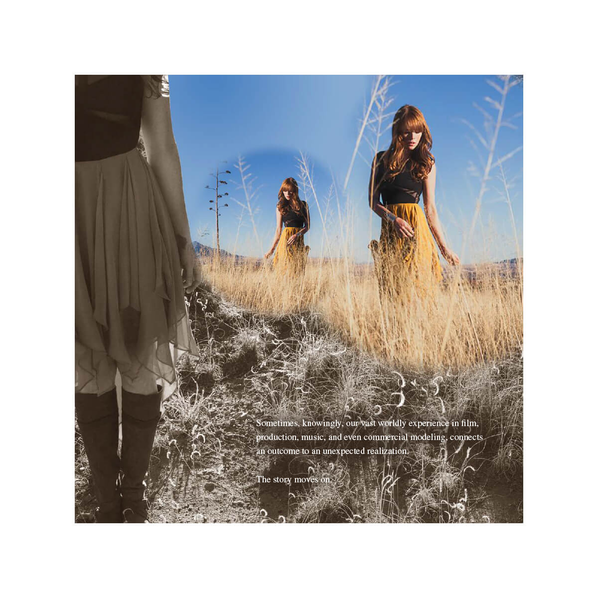 Promotional Pamphlet – David Musso