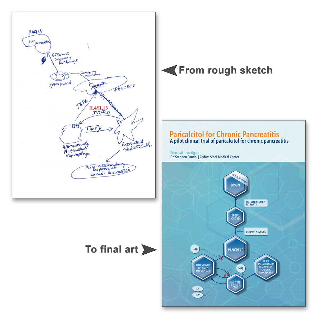 Internal Infographic – David Musso