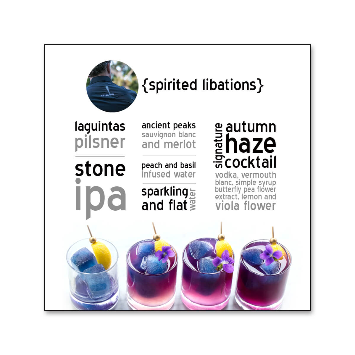 Promotional Booklet – David Musso