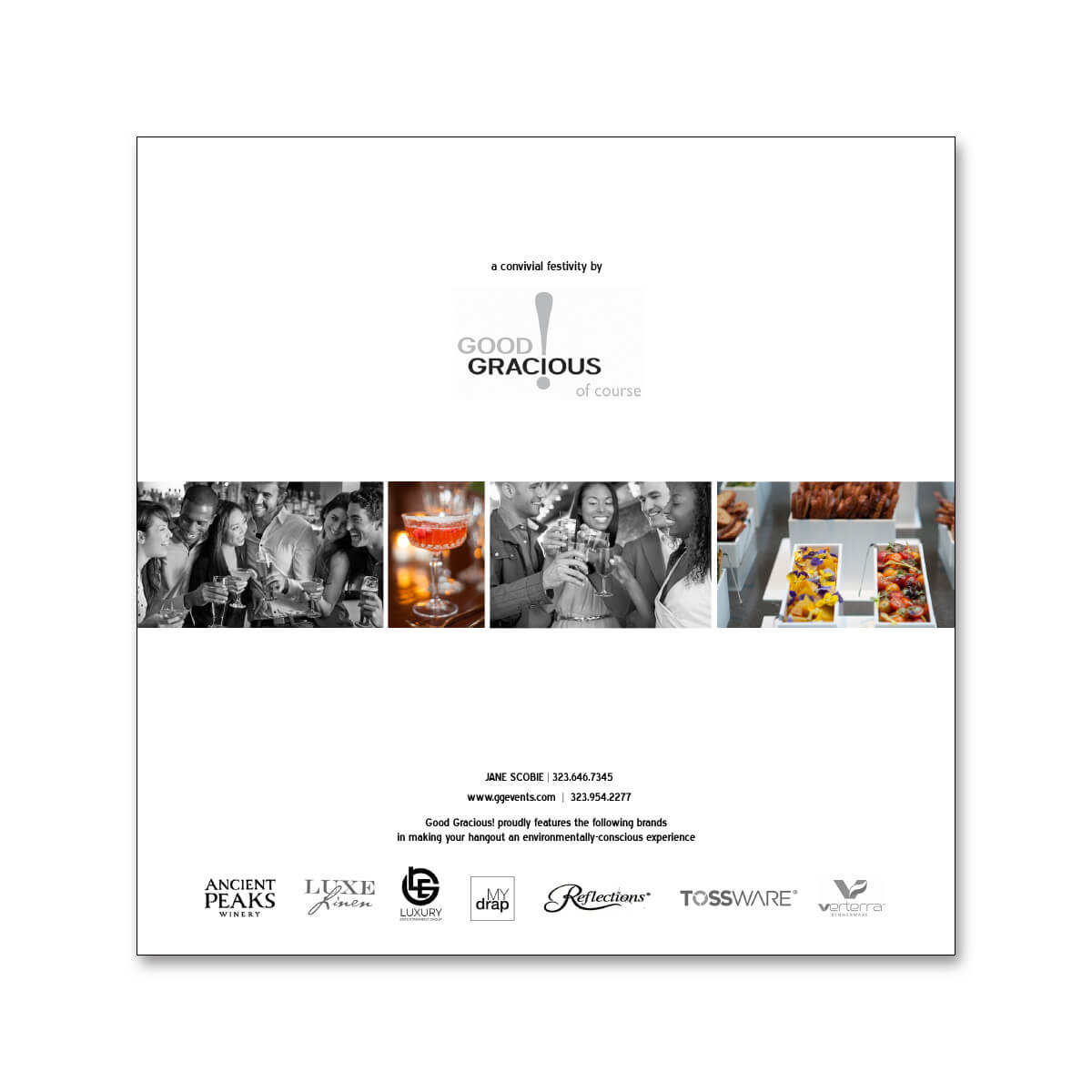 Promotional Booklet – David Musso